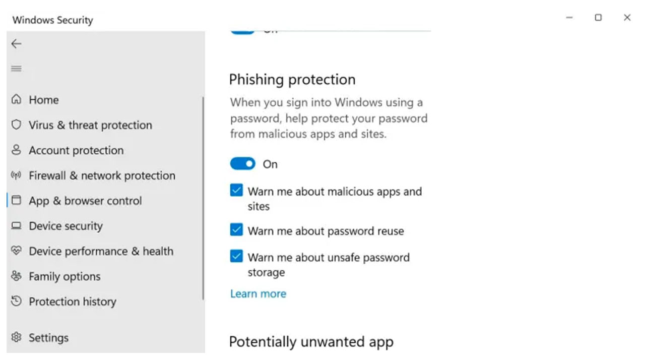 How to protect your passwords on Windows 11? - SDN
