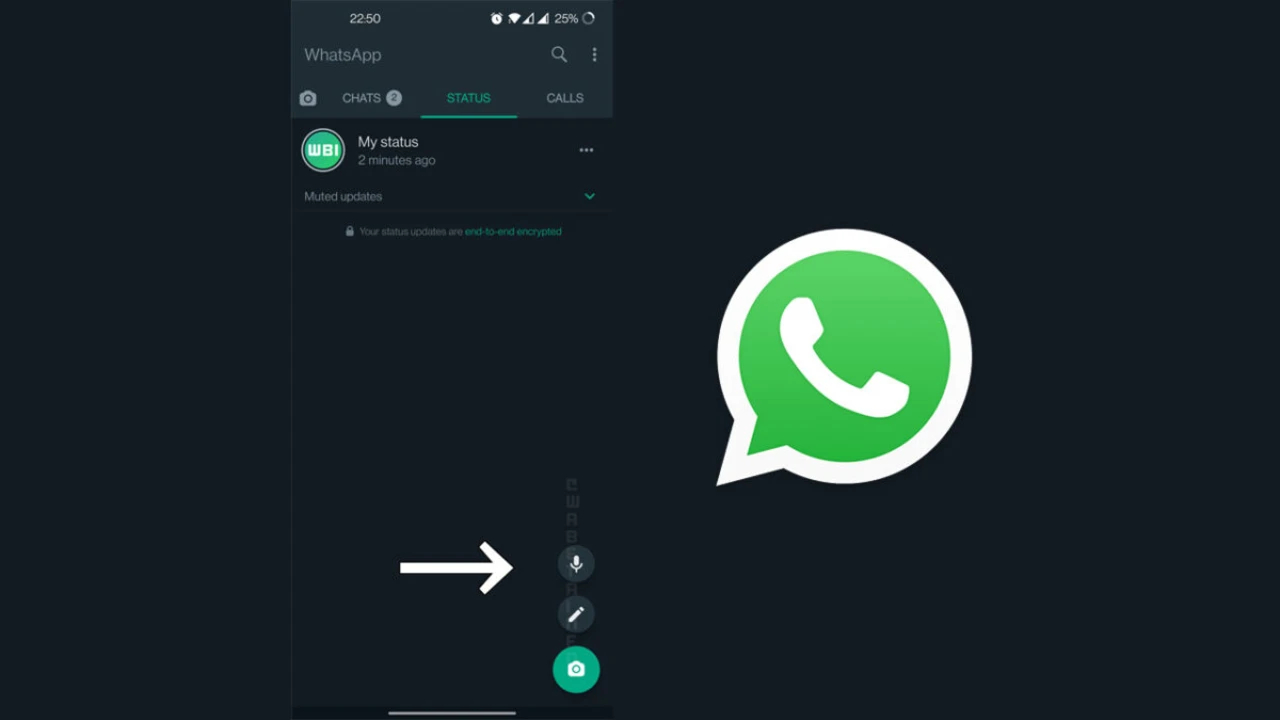 WhatsApp opens "voice status" feature to everyone - SDN