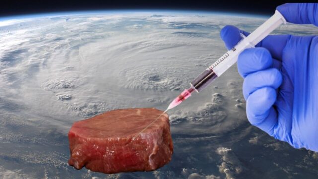 European Space Agency will produce artificial meat in space