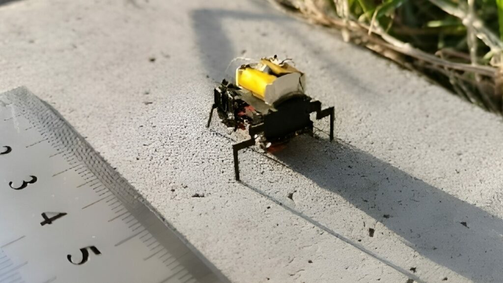 China's micro robot breaks records: Faster than real insects ...