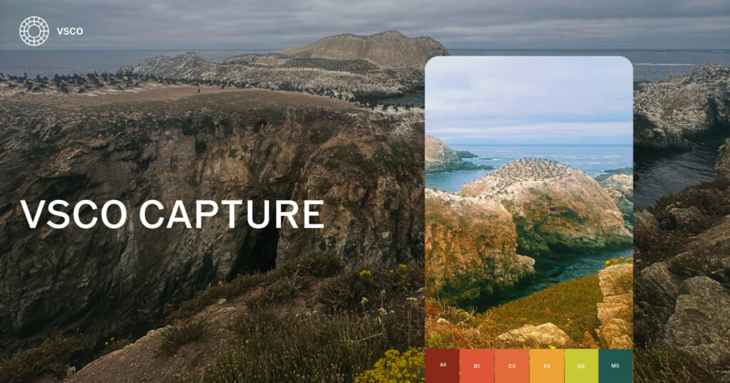 VSCO's Camera App for iPhone: Capture - ShiftDelete.Net Global